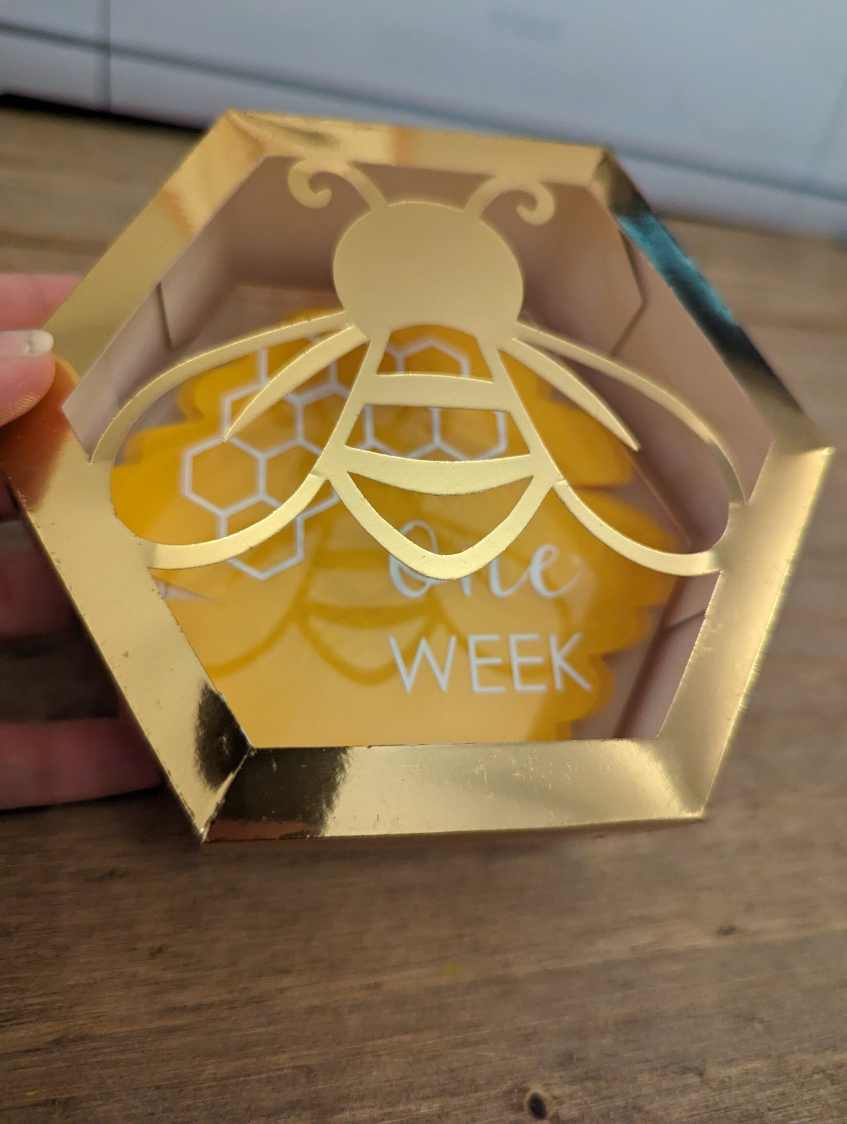 Bumblebee Baby Milestone Acrylic Discs - Etsy