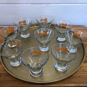 Vintage Martini Kahlua Cocktail Glasses "the Everyday Exotic" Set of 9 ...