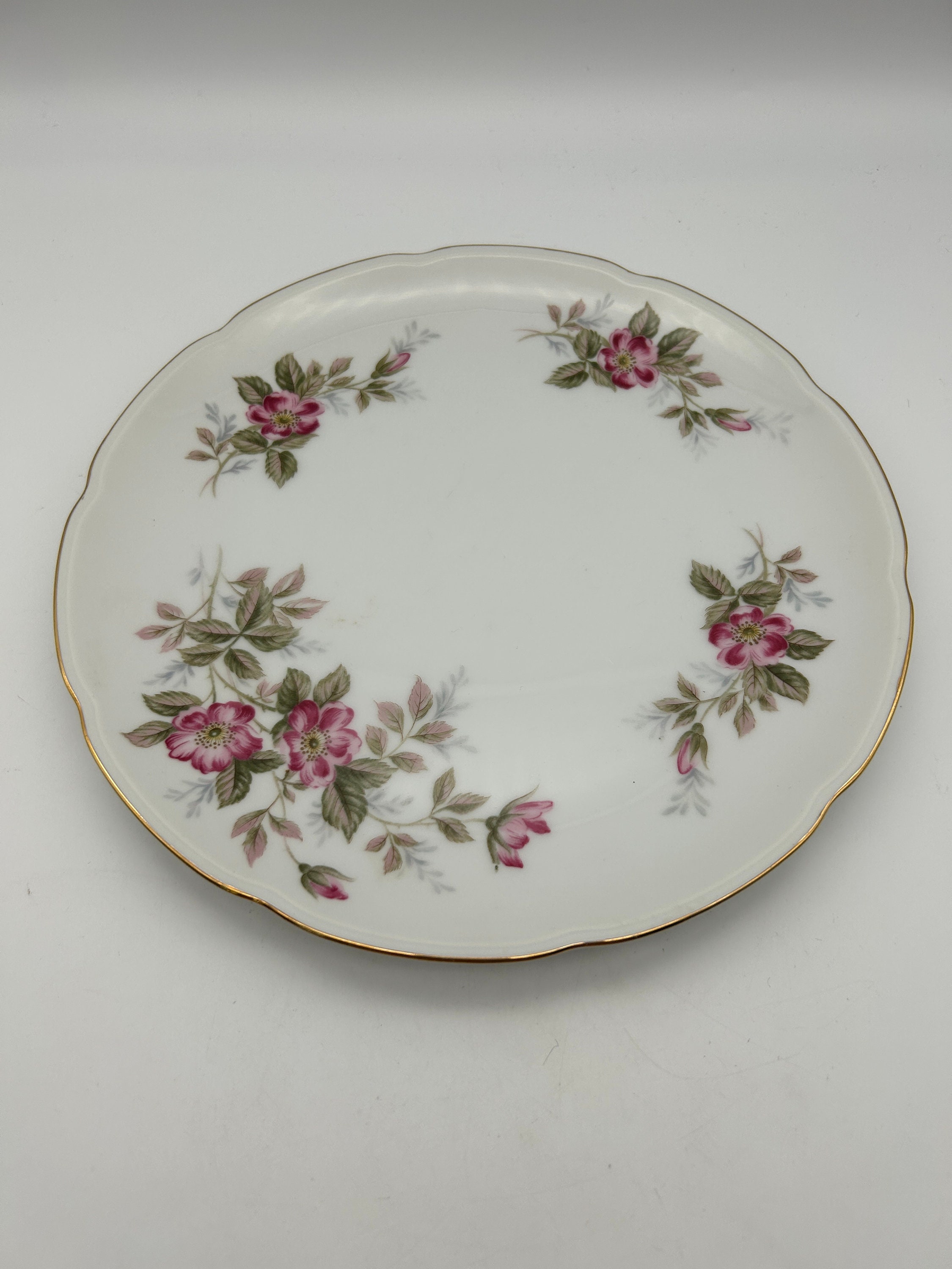 1950s Dinner Plate by UCAGCO in Cambridge Pattern 10 - Etsy