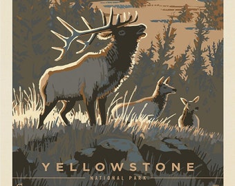 Great Smoky Mountains National Park Panel Fabric PD13299 Anderson ...