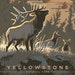 Yellowstone National Park Panel Cotton Fabric PD13297 National Parks ...