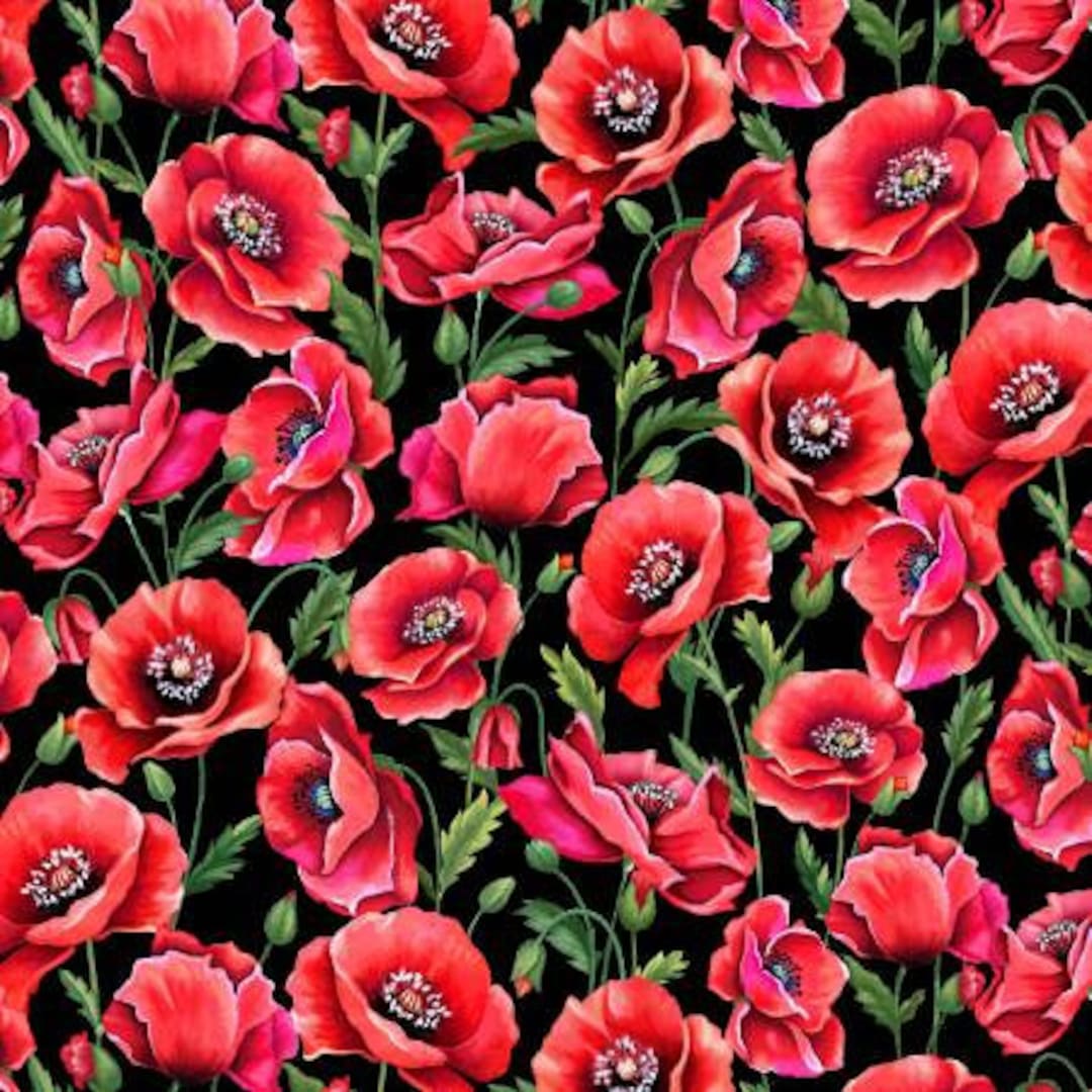 Flaming Flowers Cotton Fabric, What's Poppin Michael Miller DCX10821 ...