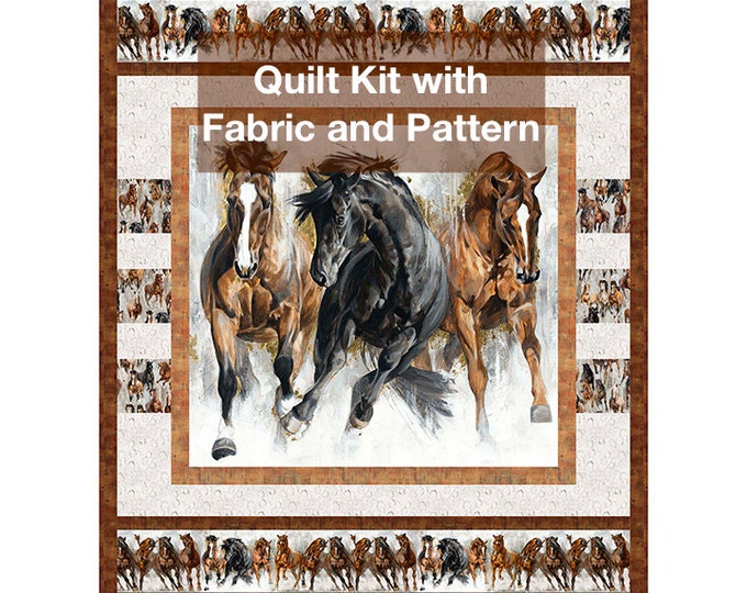 Racing Stripes Quilt Kit With Fabric and Pattern for Quilt Top ...