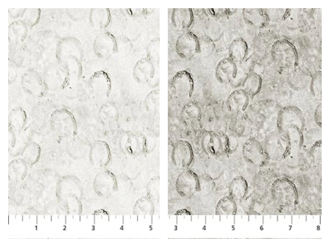 Hoof Texture Cotton Fabric, DP26814 Stallion Elise Genest Northcott ...