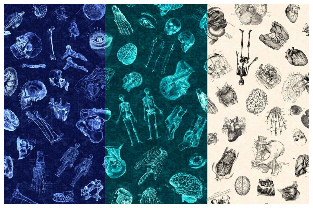Anatomy Toss Cotton Fabric, True Detective 30718 QT Fabric FQ Fat ...