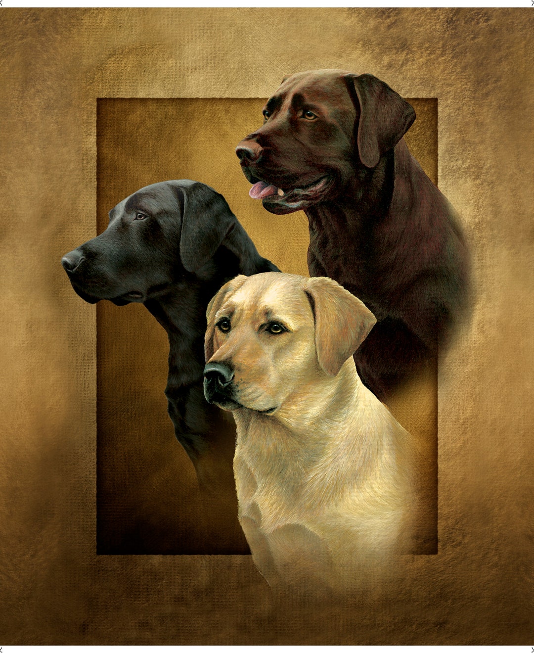 Labrador Picture Panel Cotton Fabric, 30307A for the Love of Labs, 36 ...
