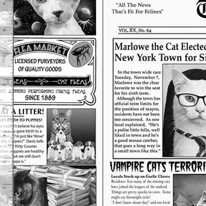 Cat News Cotton Quilt Fabric, C6705 Quirky Cats, Timeless Treasures ...