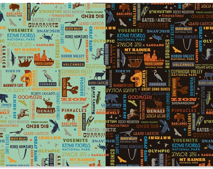 Big Bend National Park Panel Fabric PD15098 National Parks Anderson ...