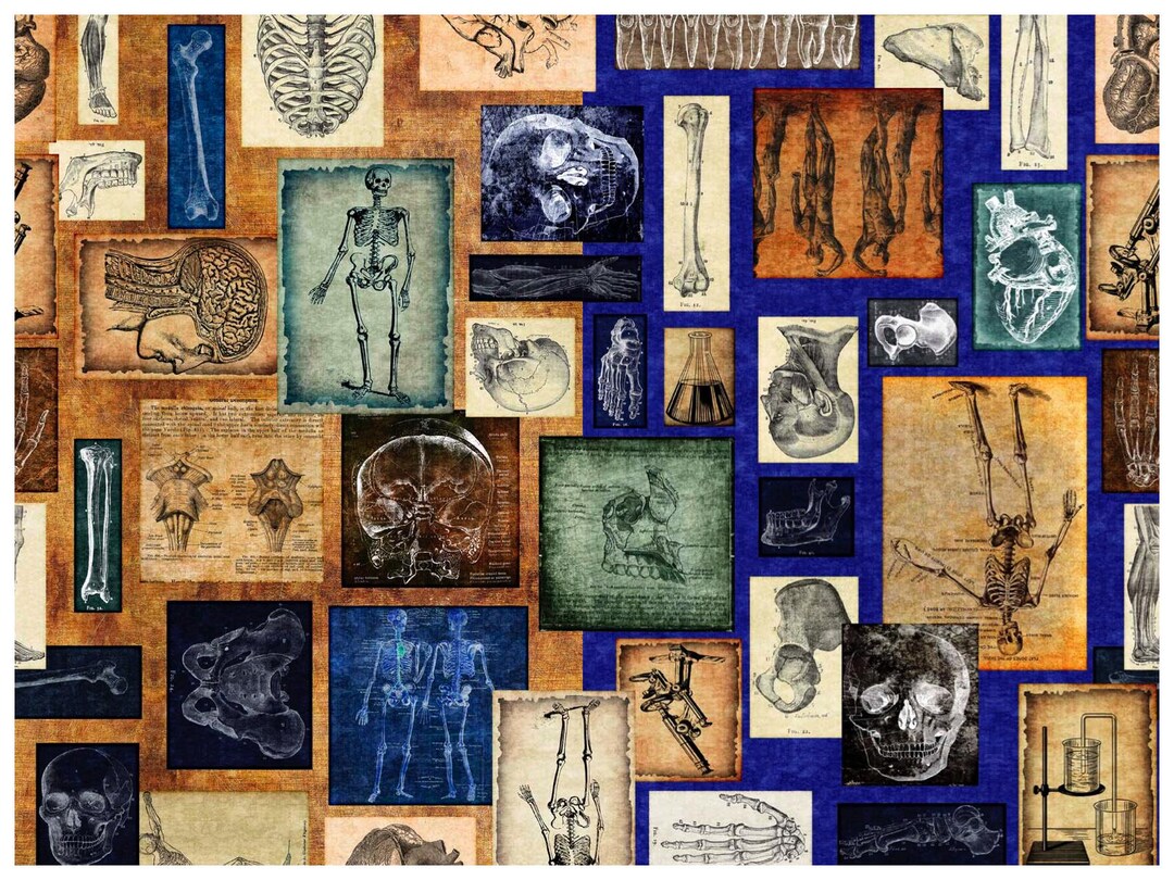 Anatomy Patches Cotton Fabric, True Detective 30717 QT Fabrics FQ Fat ...