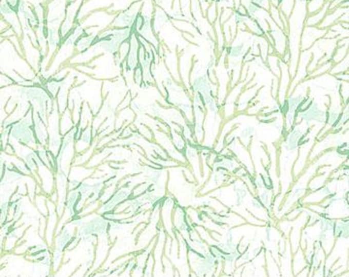 Shells Cotton Fabric, DP27098 Deborah Edwards Melanie Samra Sea Breeze ...