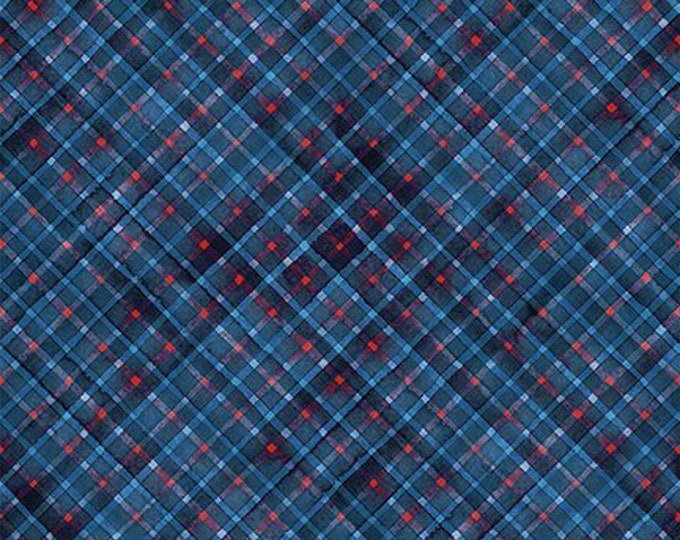 Rhiannon Quilt Kit With Fabric and Pattern for Quilt Top and Binding ...