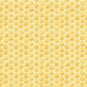 Buzzy Bee Quilt Kit With Fabric and Pattern for Quilt Top & Binding ...