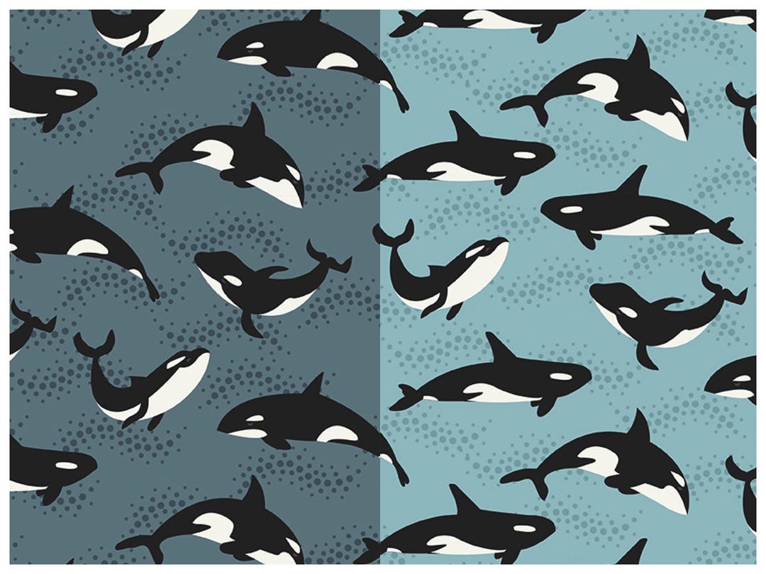 Orca Whales Cotton Fabric, C16167 Alaska, Anderson Design Group, Riley ...