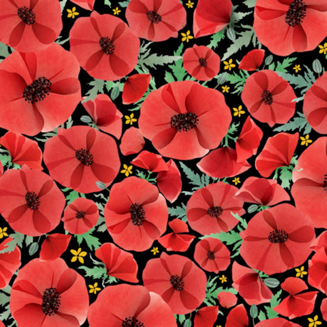 Poppies Cotton Fabric, Wildflowers 28768J, Turnowsky, QT Fabrics Modern ...