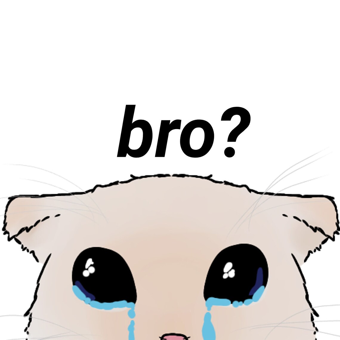 Scottish Fold Cat Meme Twitch Emote - Etsy Canada