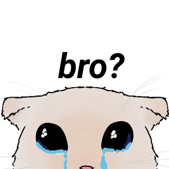 Scottish Fold Cat Meme Twitch Emote | Etsy