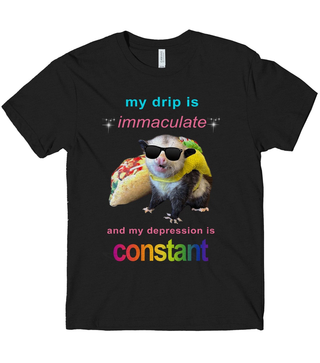 Possum T Shirt My Drip is Immaculate and My Depression is Constant ...