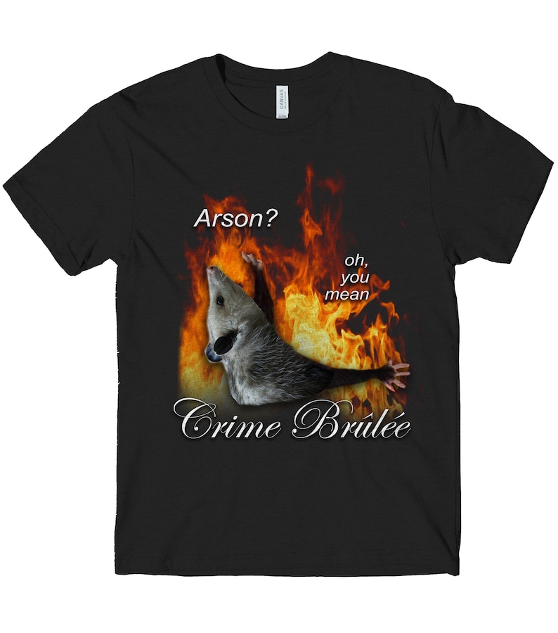 Crime Brulee Possum T Shirt Funny Cute Arson Fire Opossum Graphic Tee ...