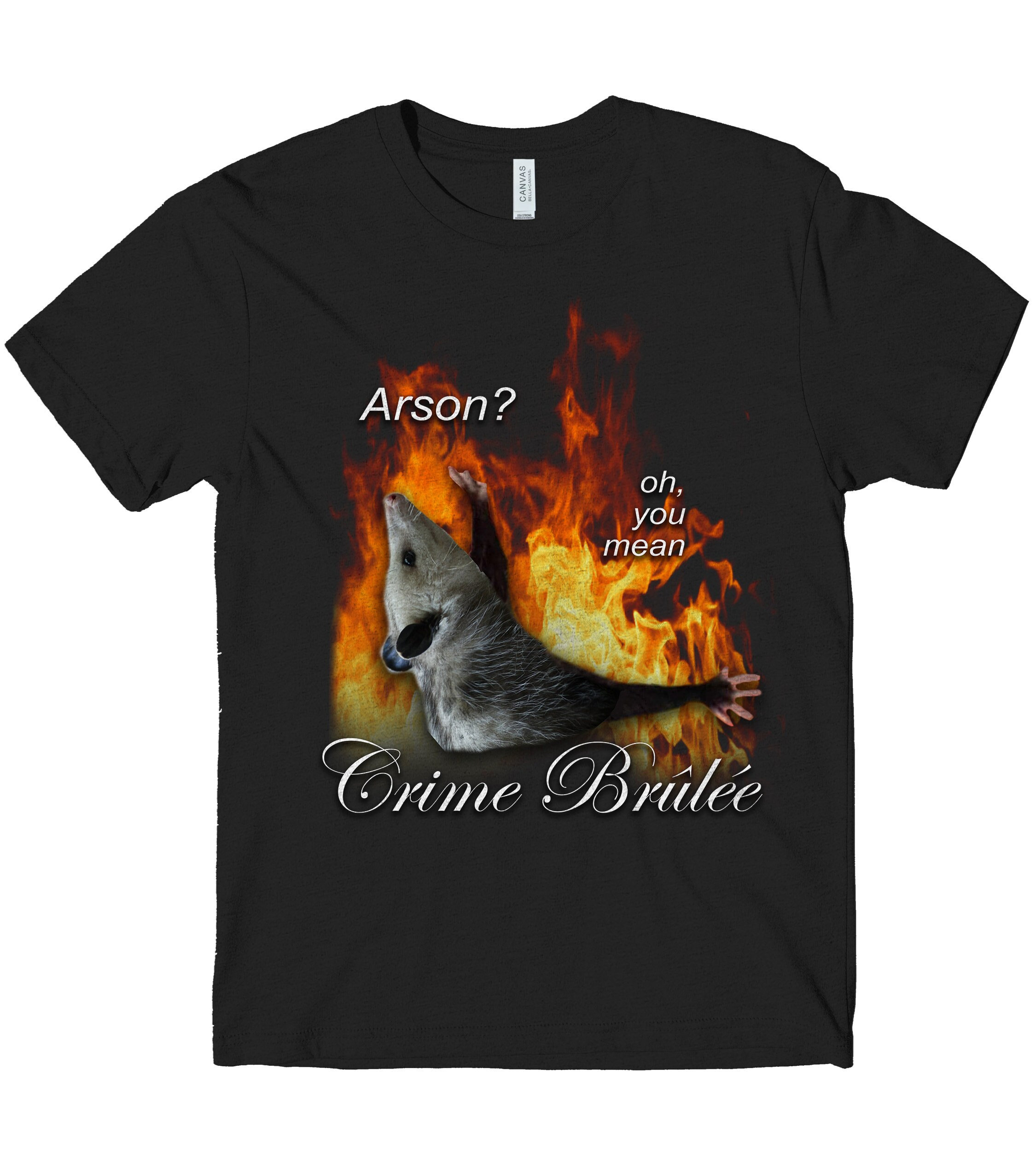 Crime Brulee Possum T Shirt Funny Cute Arson Fire Opossum Graphic Tee ...