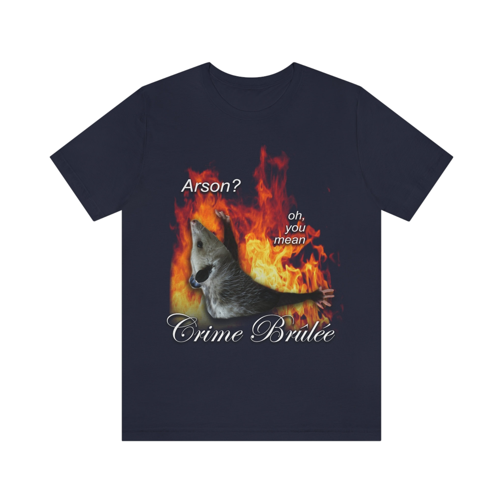 Crime Brulee Possum T Shirt Funny Cute Arson Fire Opossum Graphic Tee ...