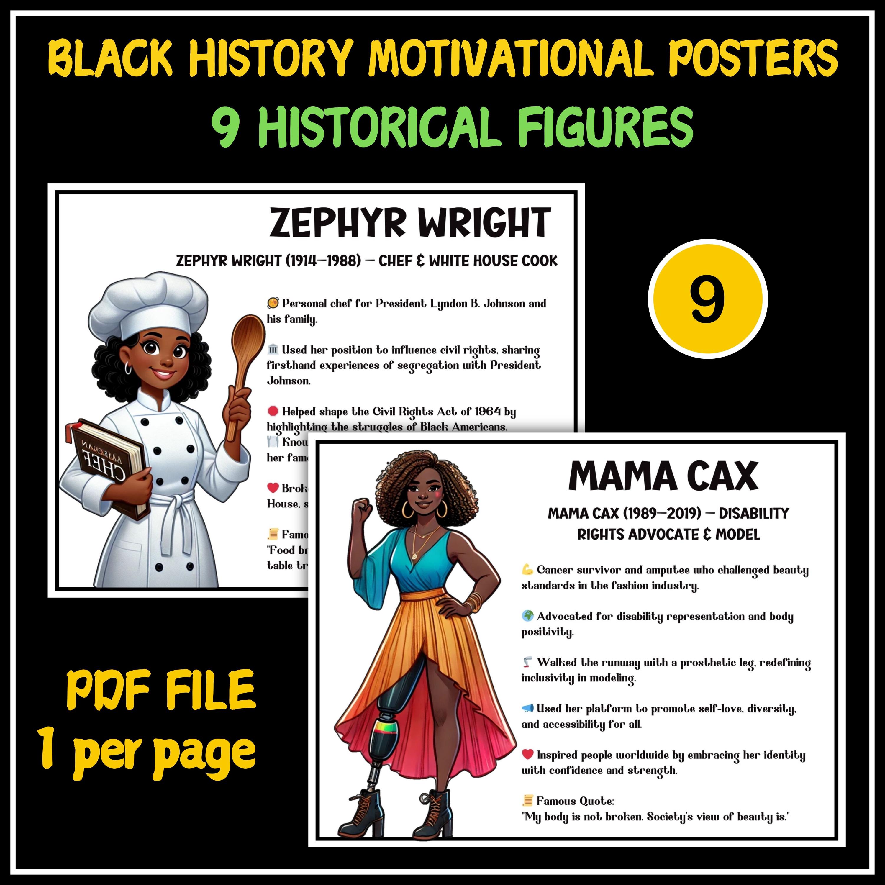 Black History Month Bulletin Board - Interactive Biography Posters - 9 ...