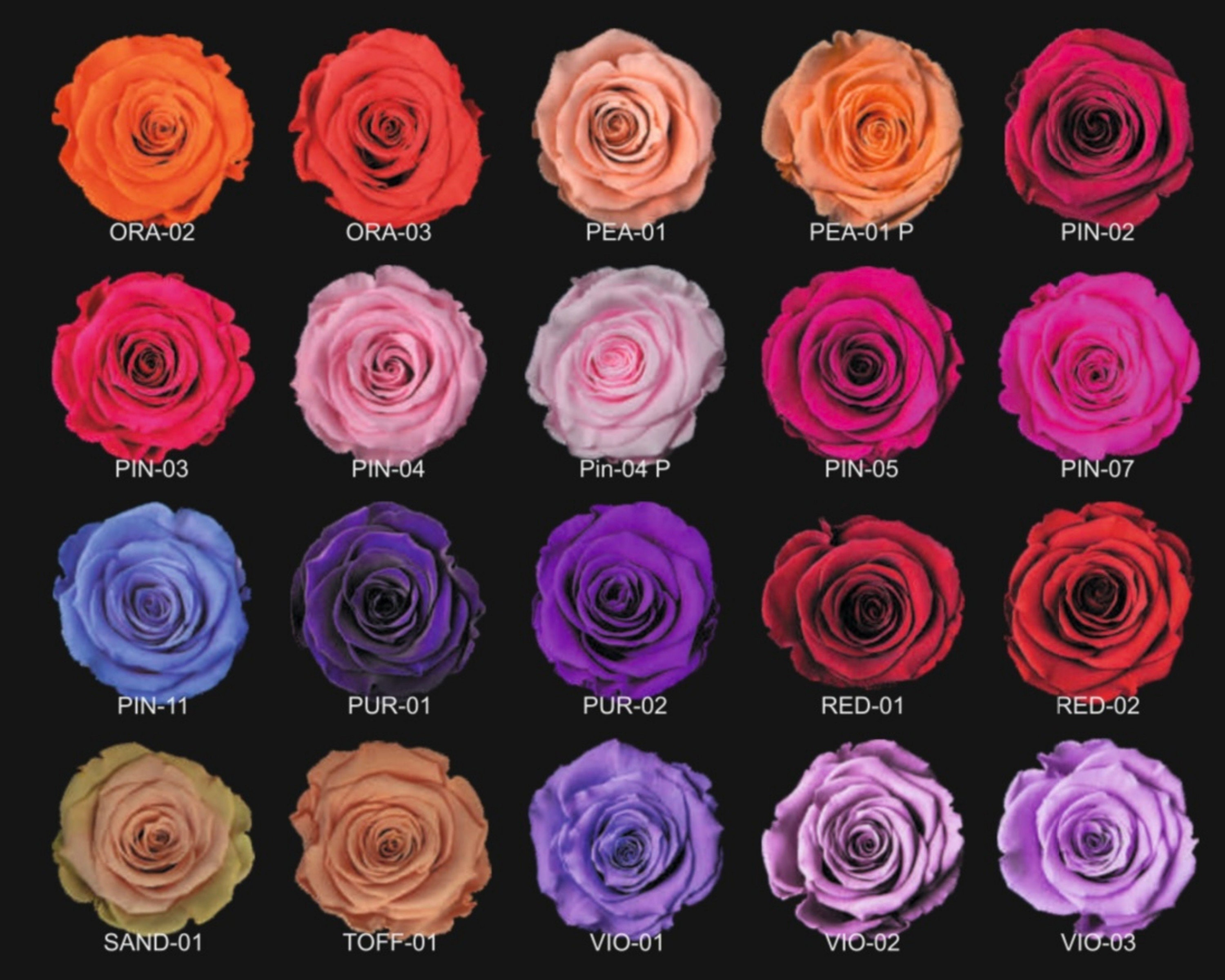 Letter Preserved Rose in Glass Box, Luxury Custom Gift, Valentines Day ...