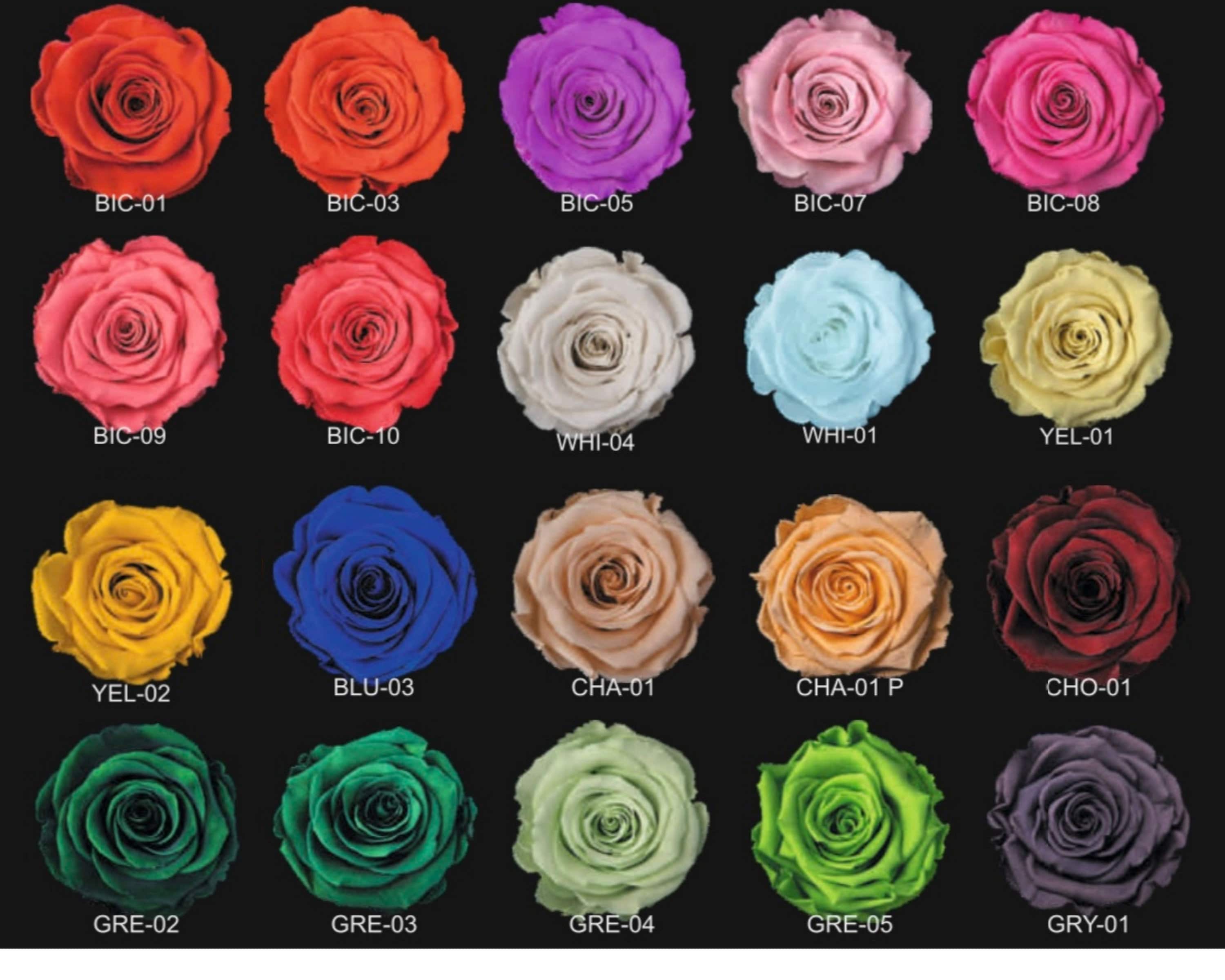 Letter Preserved Rose in Glass Box, Luxury Custom Gift, Valentines Day ...