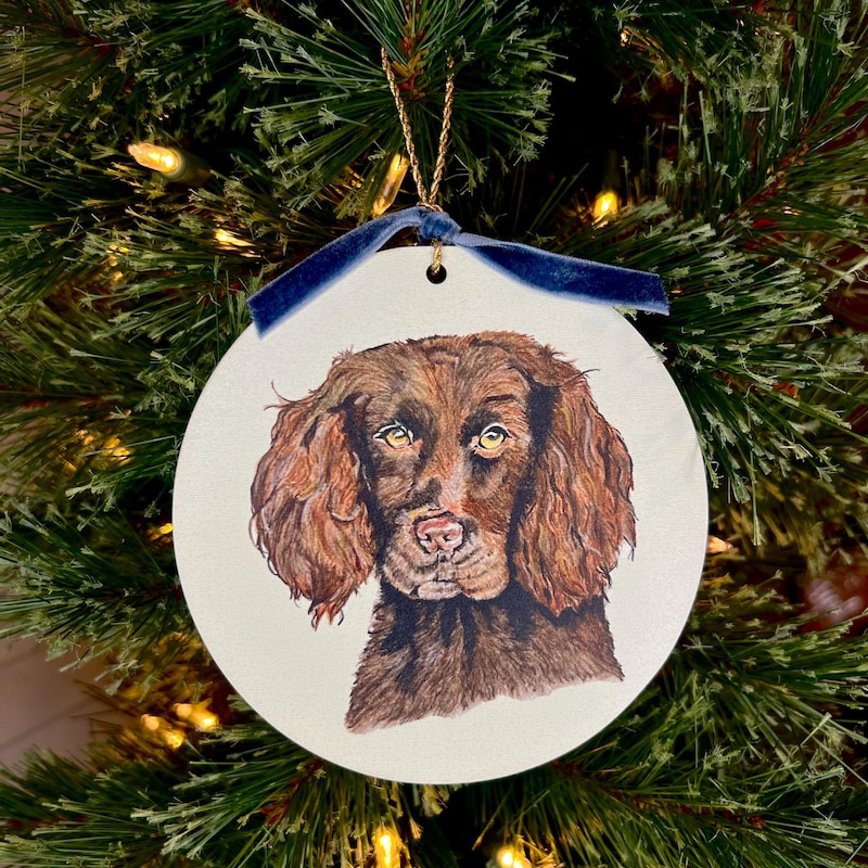 Boykin Spaniel - Etsy