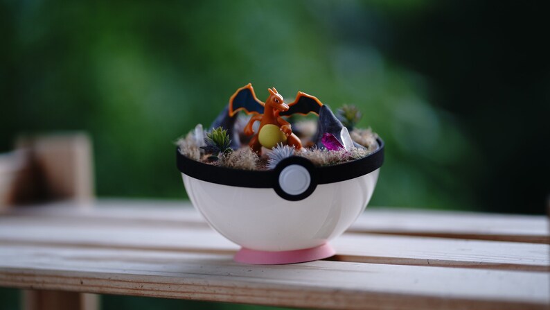 CUSTOM Pokémon Terrarium CHOOSE YOURS - Etsy