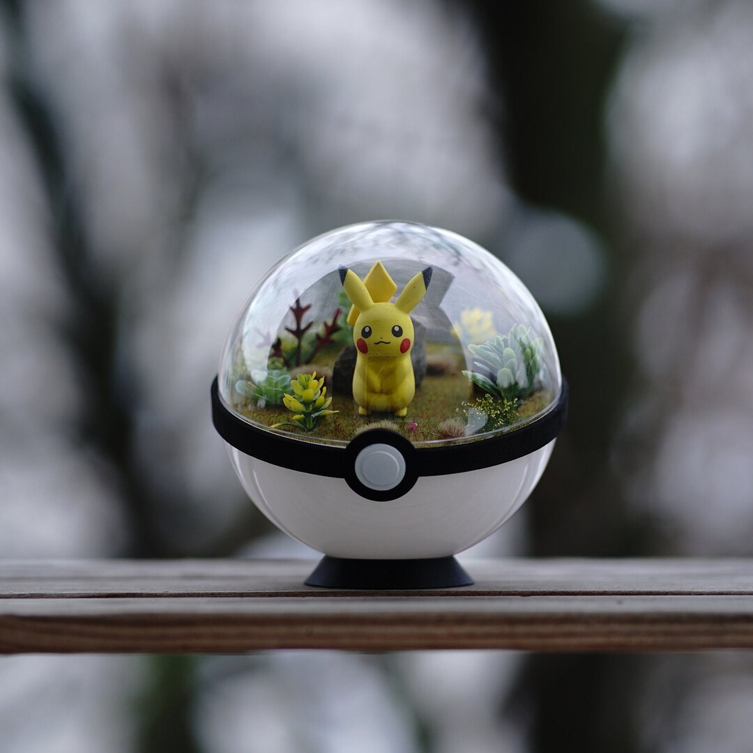 Pokemon Terrarium Pikachu in the Garden - Etsy