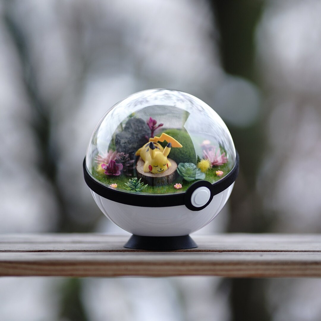 Pokemon Terrarium Pikachu in Woods - Etsy