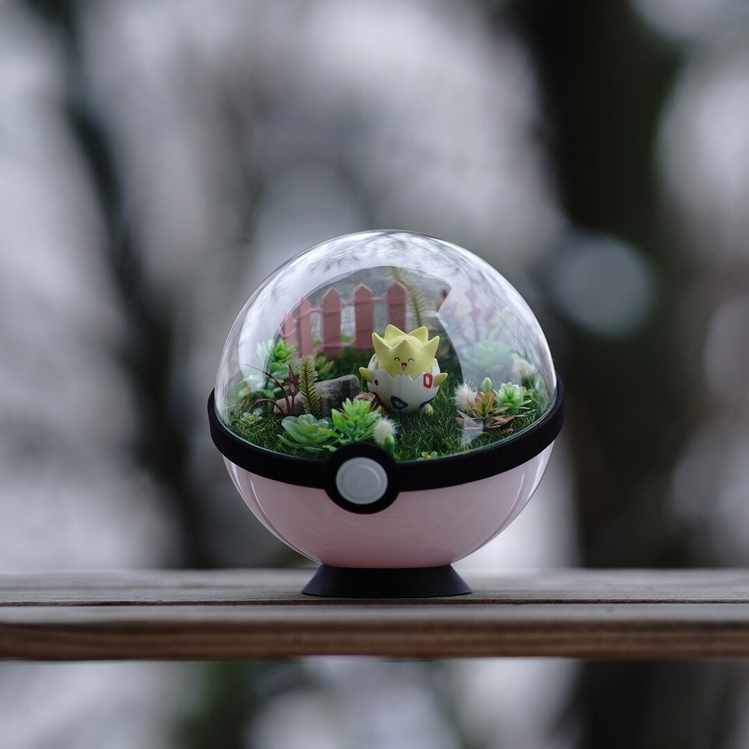 Pokemon Terrarium Togepi - Etsy