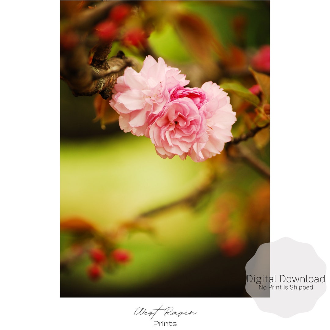Cherry Tree Wall Art Print, Pink Blossom Tree Print, Printable Art ...
