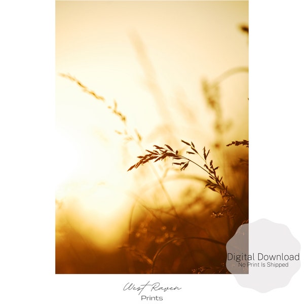 Golden Hour Art - Etsy