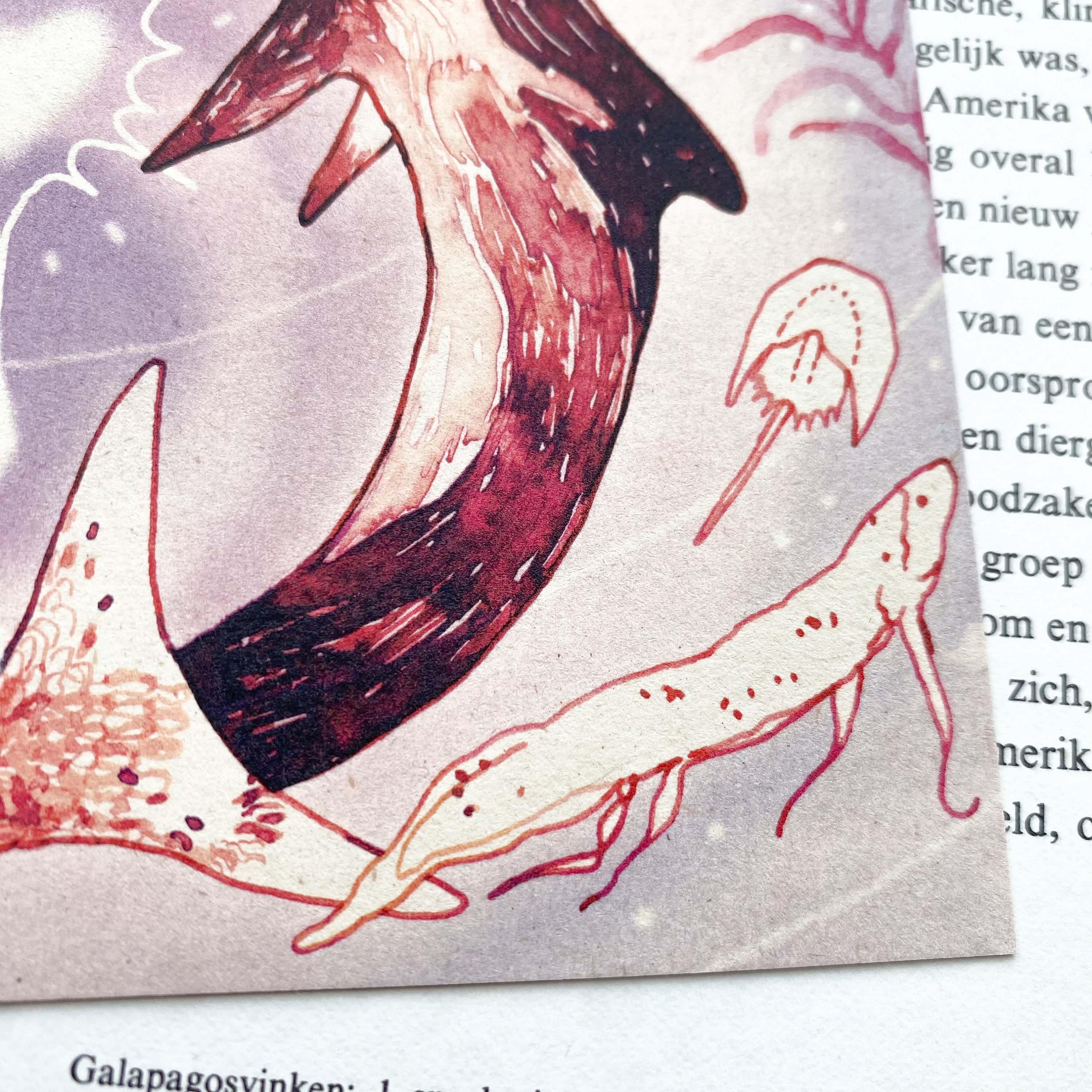 Ichtyosaur & Dolphin // Illustrated Postcard // A6 Art Print // Printed ...