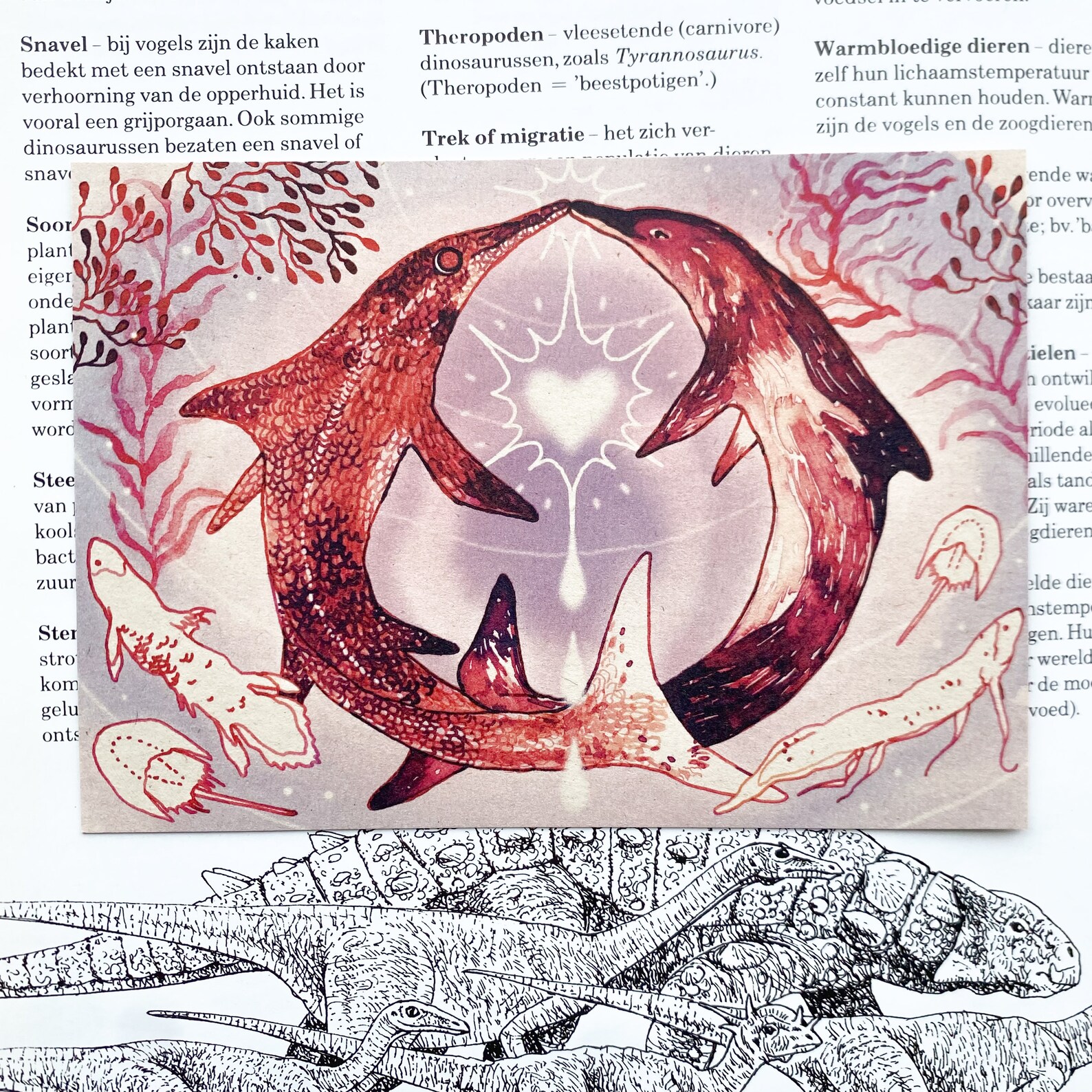 Ichtyosaur & Dolphin // Illustrated Postcard // A6 Art Print // Printed ...