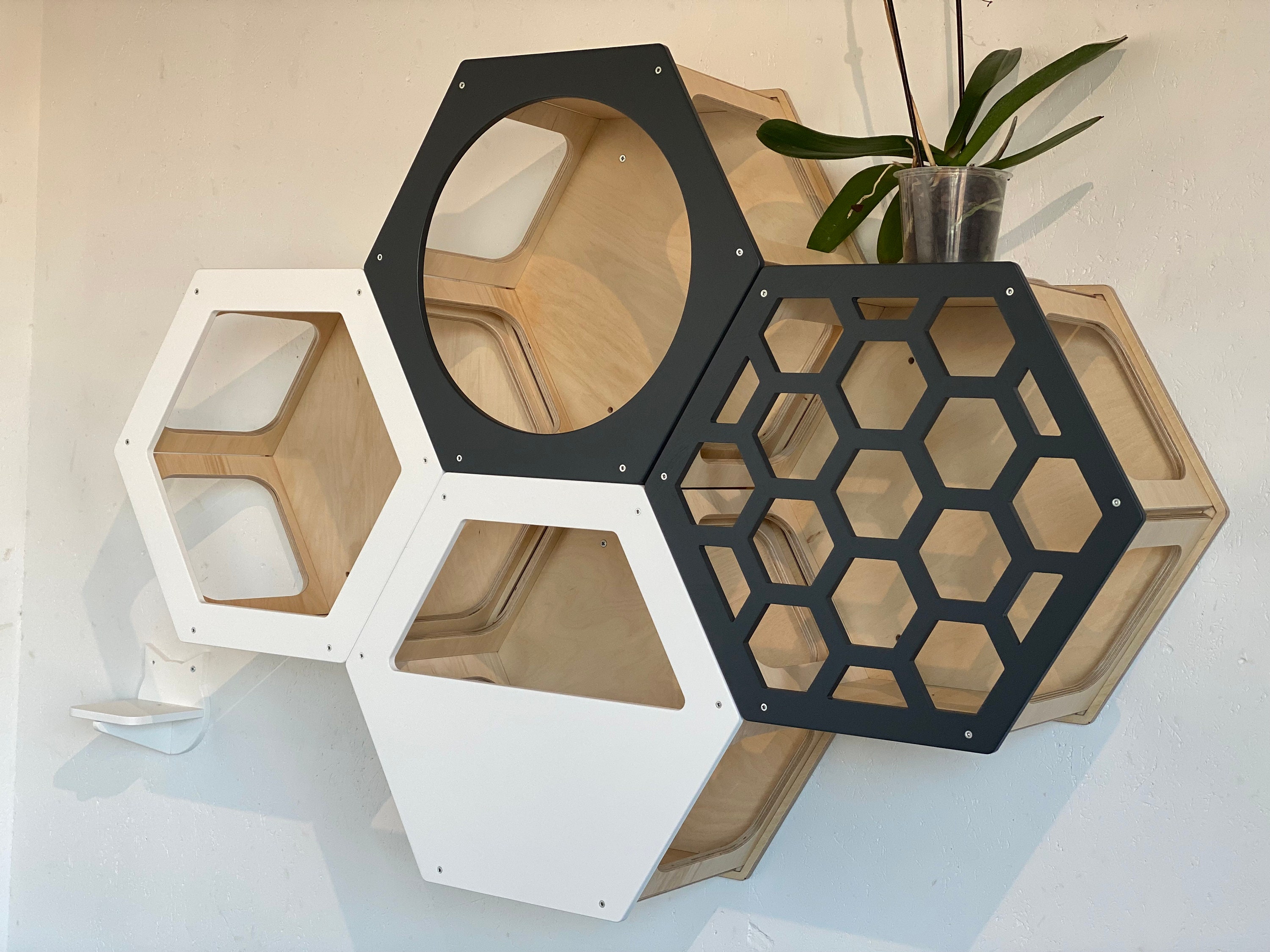 Set of 4 Hexagon Cat Shelfs Included 4 Steps Cat Furniture - Etsy