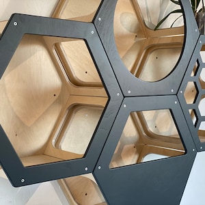Set of Hexagon Cat Shelfs Included Steps, Cat Furniture , Cat House ...