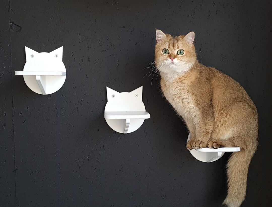 Set of 3 Cat Wall Shelfs, White Wall Shelfs, Shelfs for Indoor Use ...