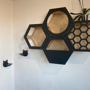 Set of Hexagon Cat Shelfs Included Steps, Cat Furniture , Cat House ...