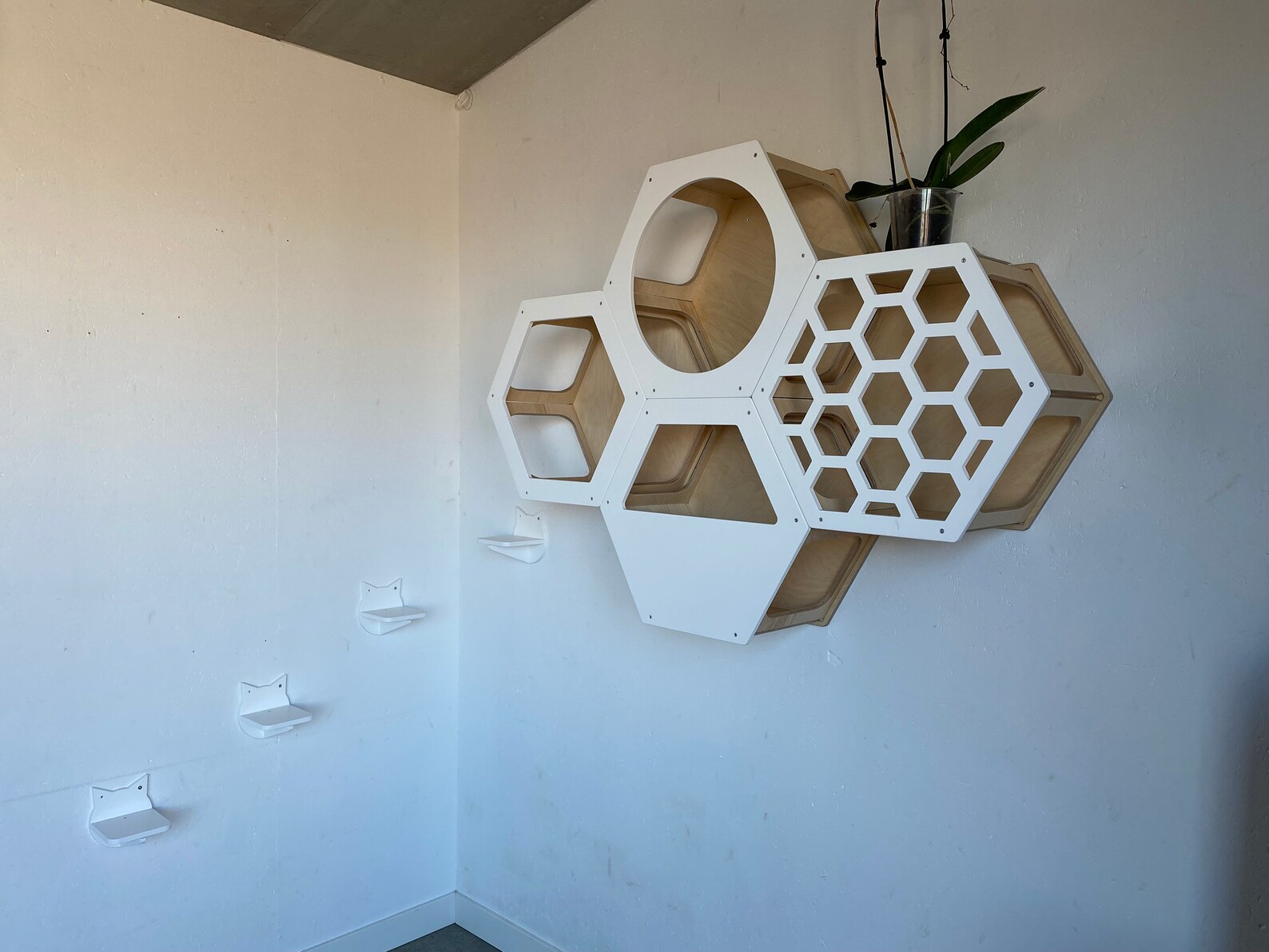 Set of Hexagon Cat Shelfs Included Steps Cat Furniture Cat - Etsy