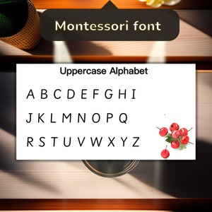 ABC Montessori Alphabet Mat,preschool,montessori Flashcards,homeschool ...