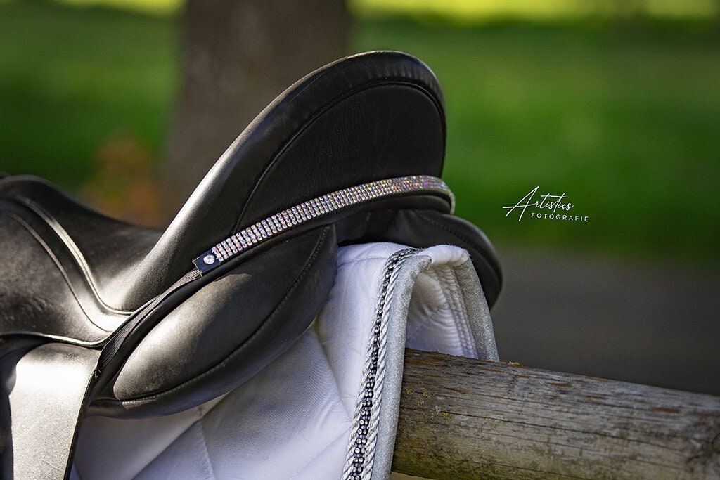 Saddle Jewel Rainbow, Bling Saddle, Rhinestone Saddle, Silver Saddle ...