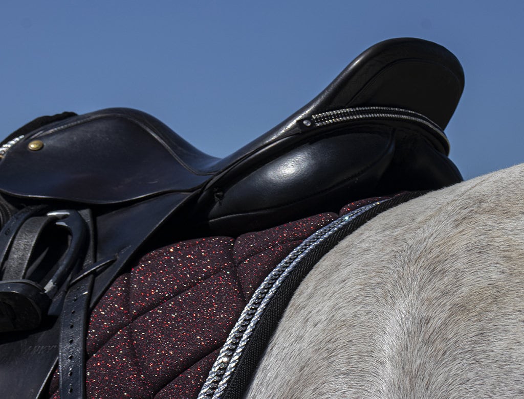 Saddle Jewel Crystal & Black, Bling Saddle, Rhinestone Saddle, Silver ...