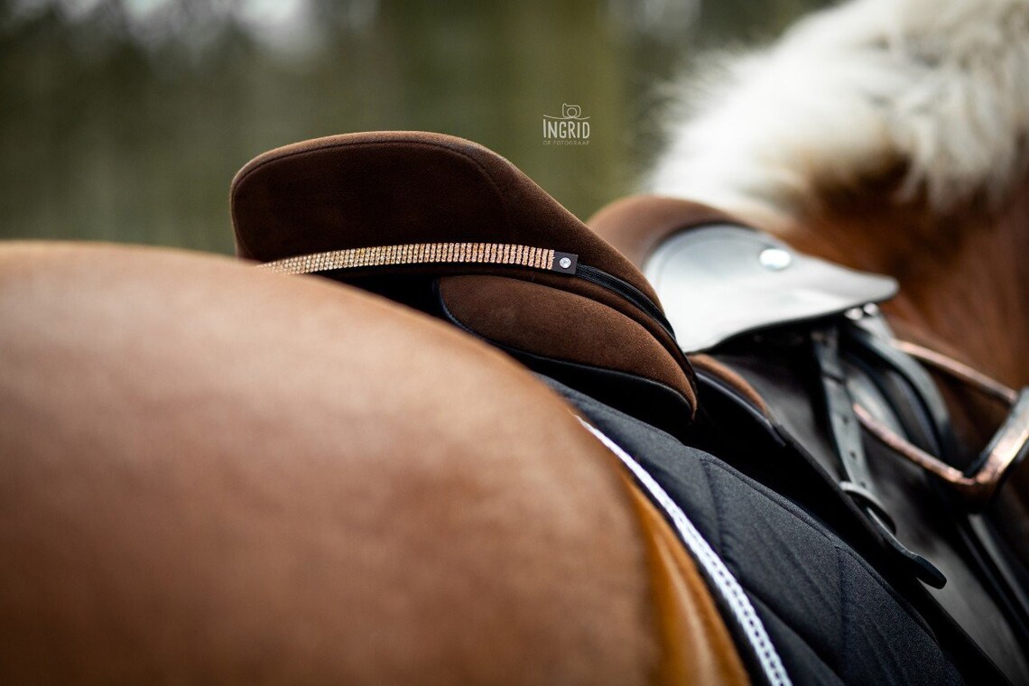 Saddle Jewel Rose Gold, Bling Saddle, Rhinestone Saddle, Silver Saddle ...