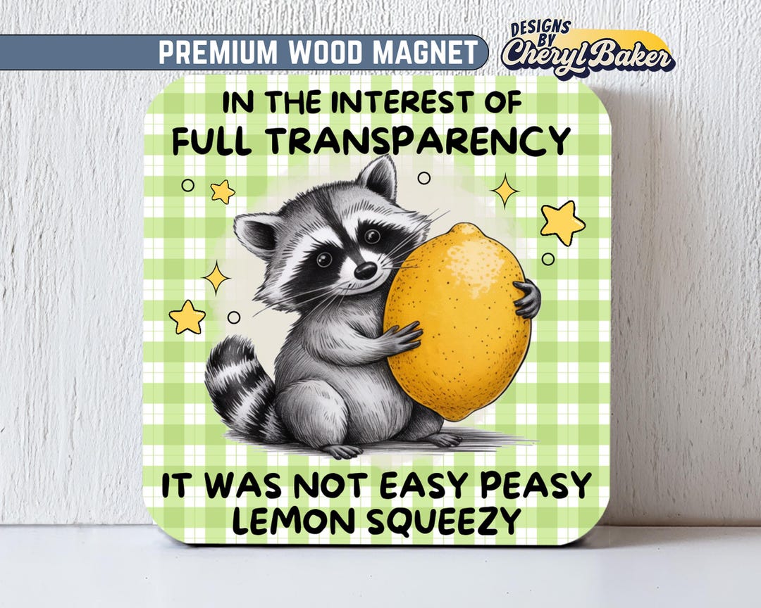 Raccoon Magnet, Lemon Magnets, Cute Magnets for Locker, Funny Work ...