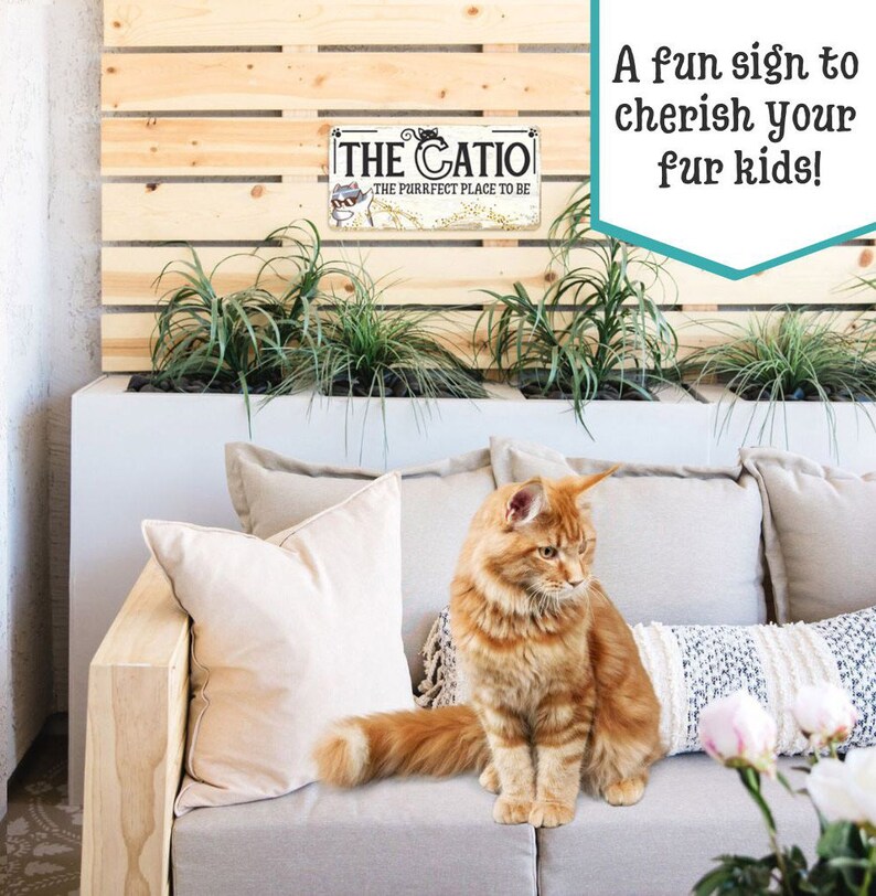 Catio Sign Catio for Cats Catio Outdoor Spoiled Cat Sign - Etsy