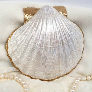 Rainbow Turtle Ring Dish Scallop Shell Gilded Gold Varnished Shiny ...