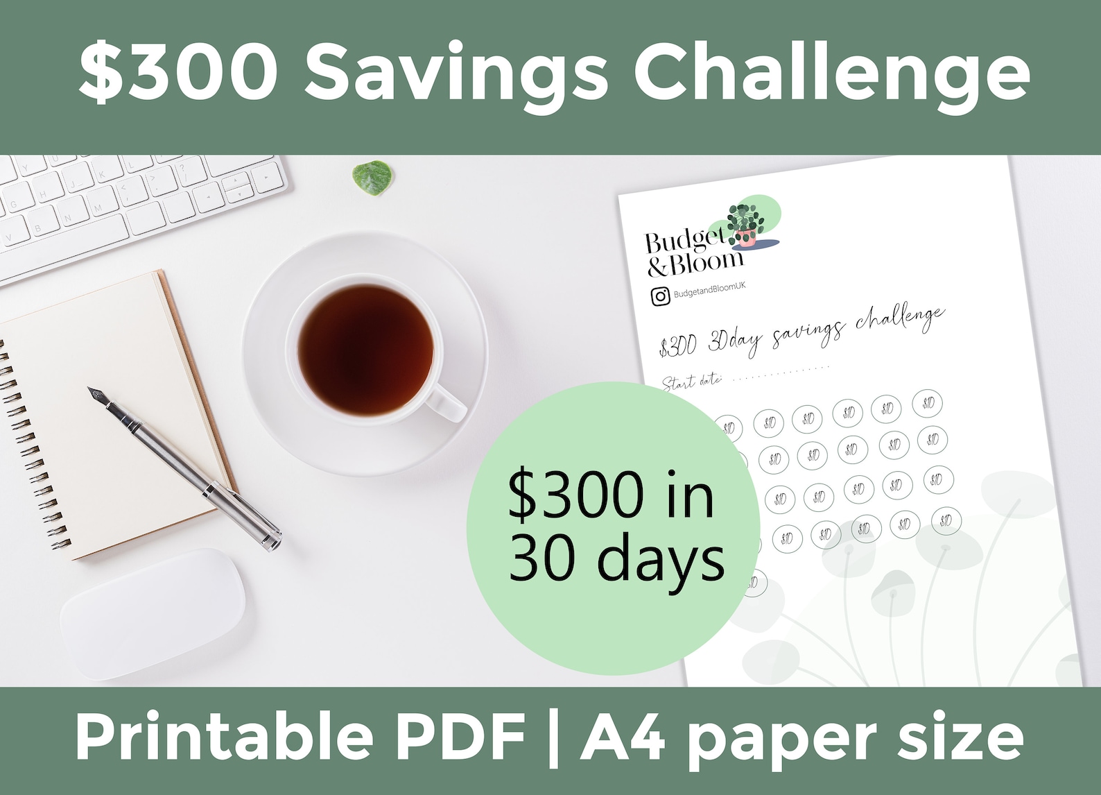 300 in 30day Savings Challenge Printable PDF Savings Goal Savings ...