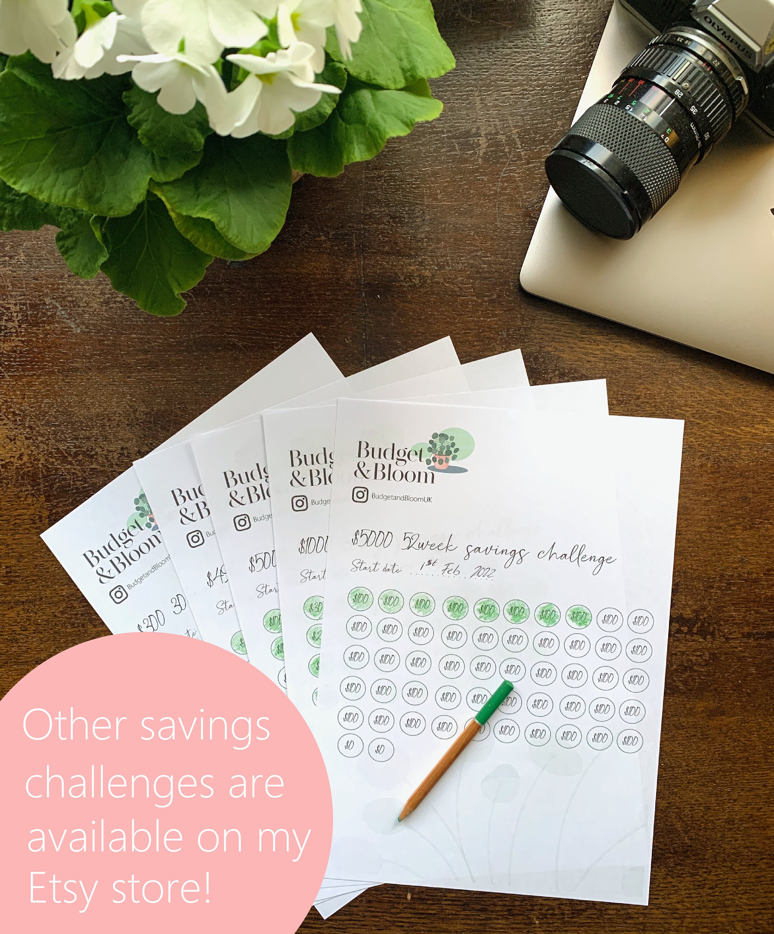 300 in 30day Savings Challenge Printable PDF Savings Goal Savings ...
